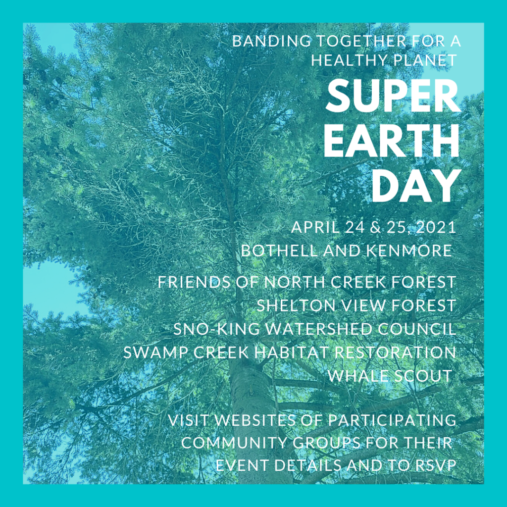 Super Earth Day Volunteer Event! - Whale Scout