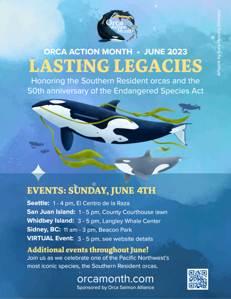 June is Orca Action Month! Celebrate with Special Events - Whale Scout