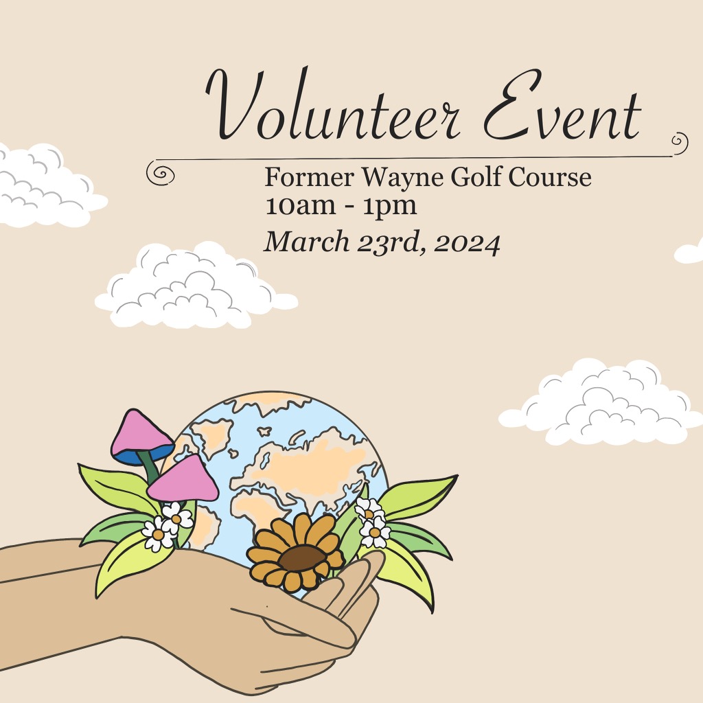 Spring Volunteer Event - Whale Scout